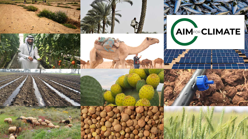 Integrated Desert Farming Innovation Program (IDFIP) | ICARDA