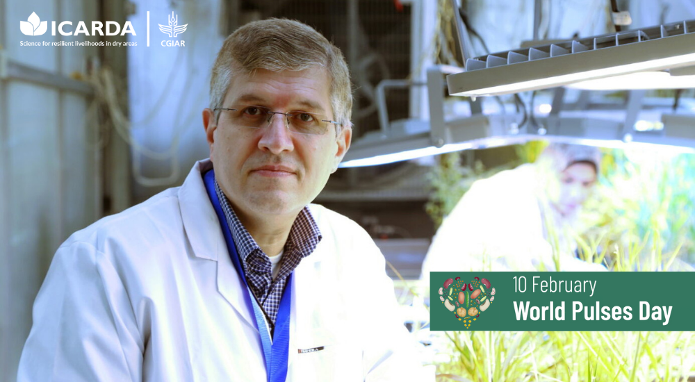 Growing Food Against the Odds: The iNASHR Success Story | ICARDA