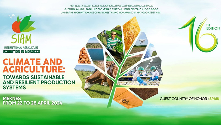 ICARDA | Science for resilient livelihoods in dry areas