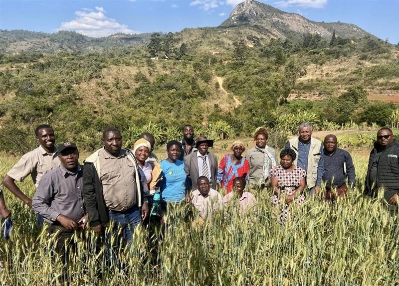 ICARDA | Science for resilient livelihoods in dry areas