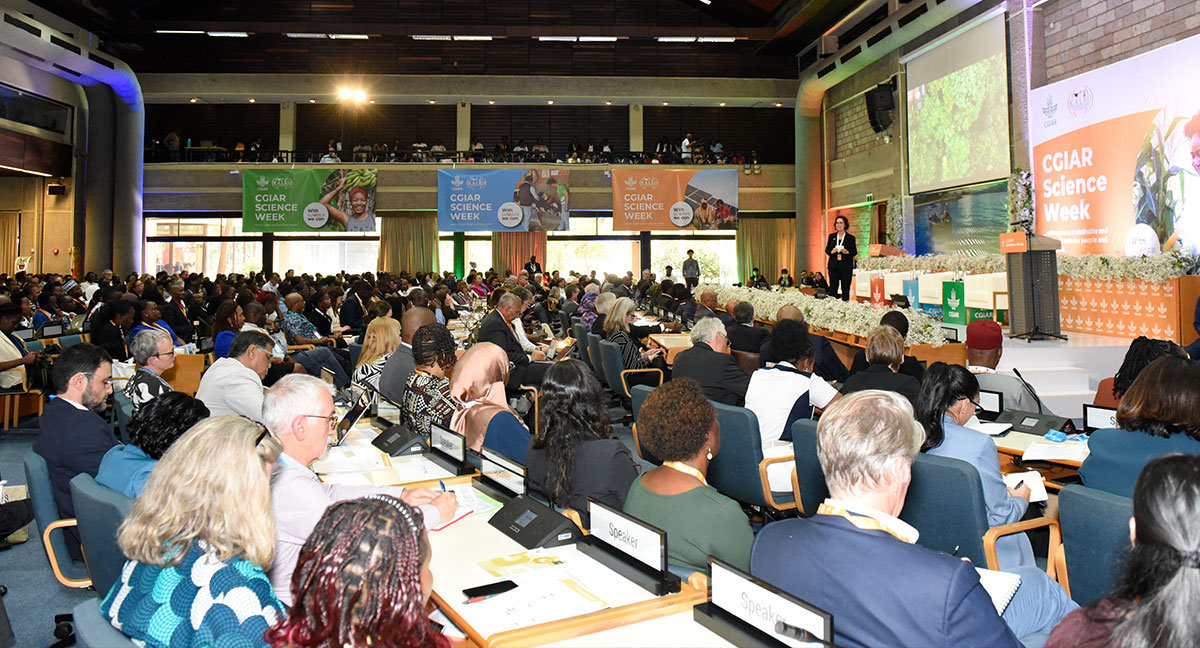 Climate Smart Crops | ICARDA