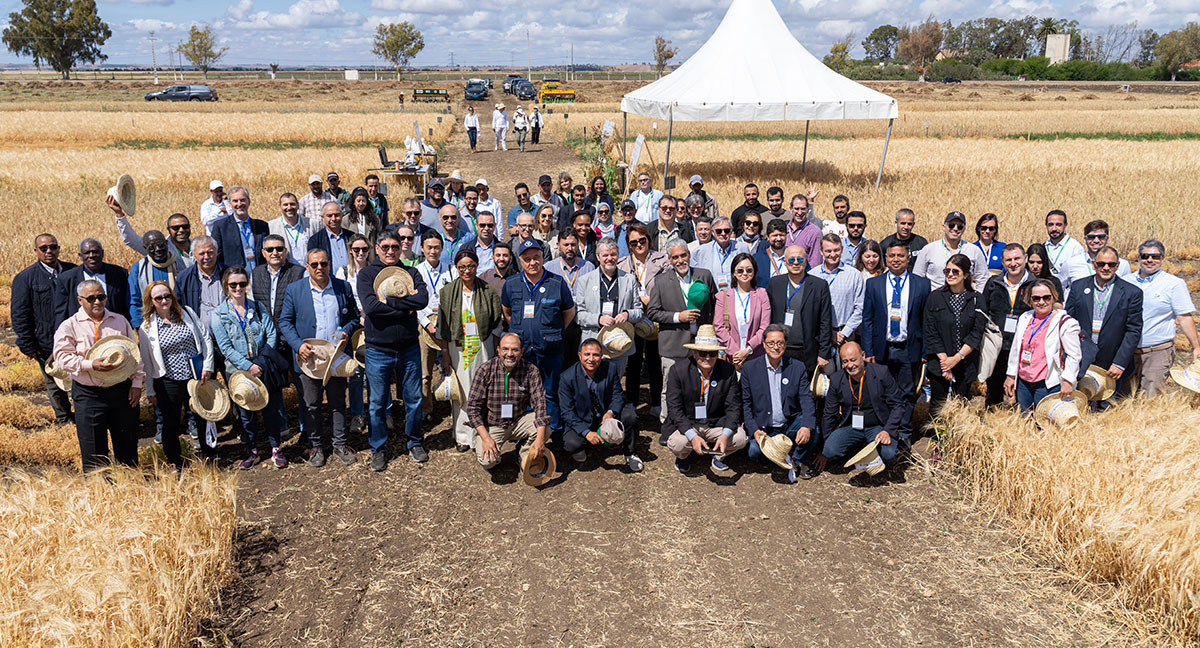 Climate Smart Crops | ICARDA