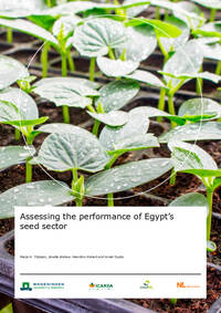 Assessing the Performance of Egypt's Seed Sector | ICARDA