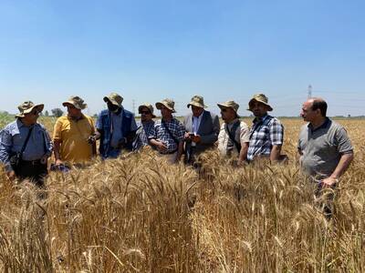 ICARDA News | ICARDA