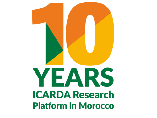 10 Years of the ICARDA Rainfed Research Platform in Morocco | ICARDA