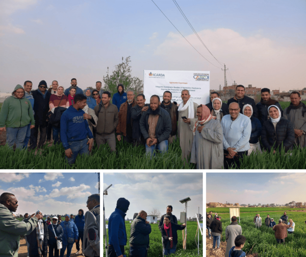 Workshop on Irrigated Agriculture under Climate Change | ICARDA