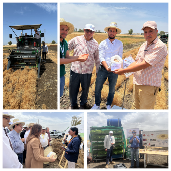 Morocco’s Minister of Agriculture joins ICARDA-INRA field day at ...