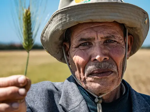 Our Research Projects | ICARDA