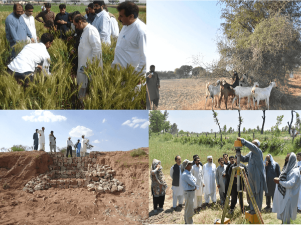 ICARDA | Science for resilient livelihoods in dry areas