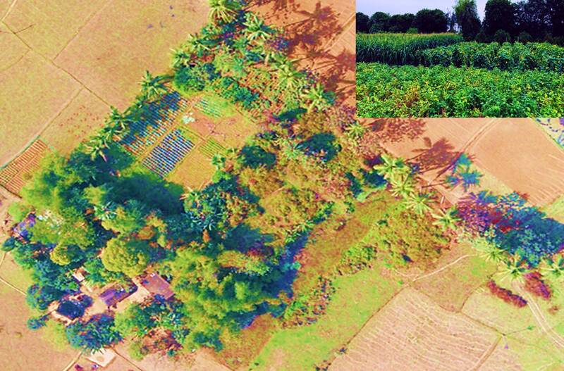 301 Moved Permanently