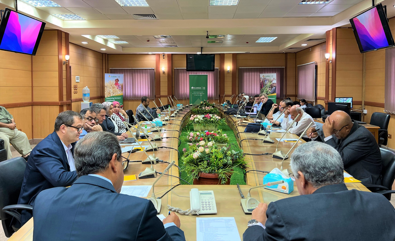 ICARDA AND ARC-EGYPT 2022 ANNUAL PLANNING MEETING | ICARDA