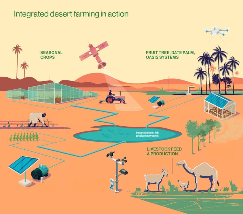 Integrated Desert Farming Innovation Program (IDFIP) | ICARDA