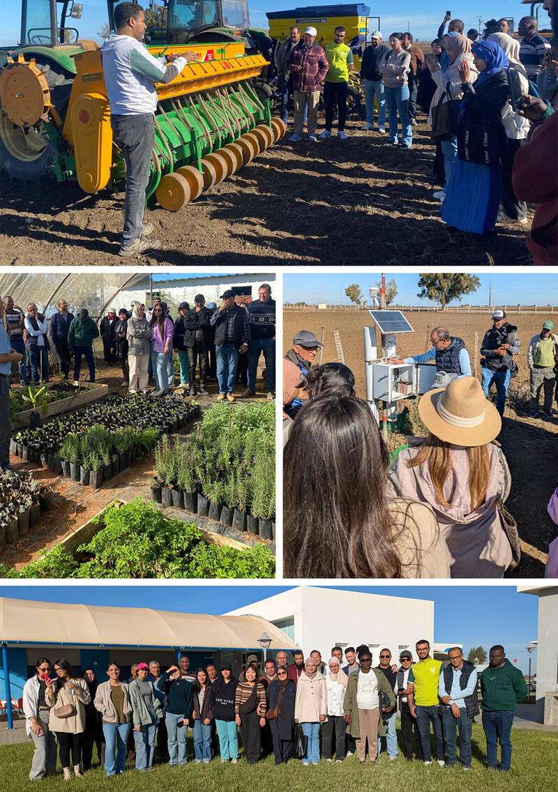 Sustainable Soil and Water Management in Morocco | ICARDA