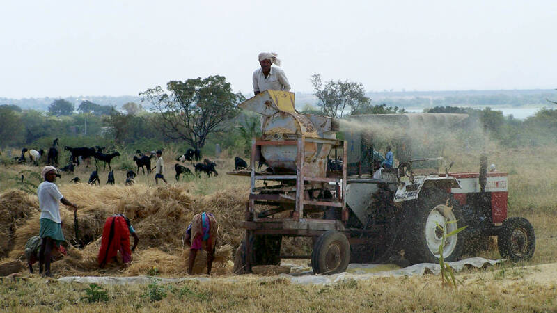 Indigenous Agricultural Knowledge for Better Farming Today | ICARDA