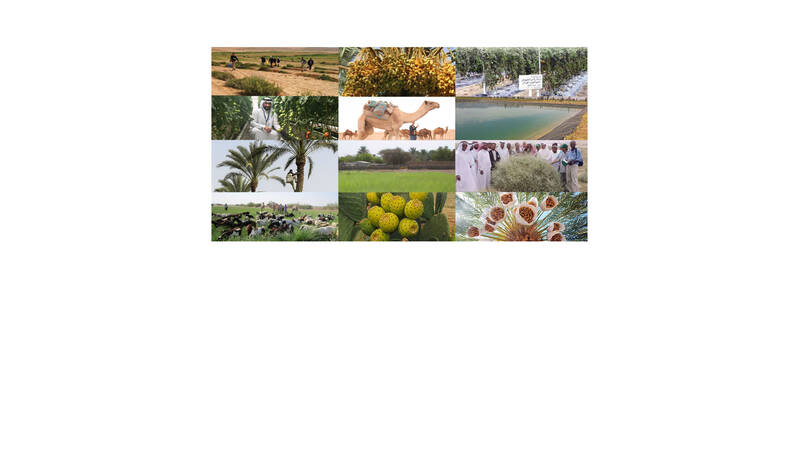 ICARDA | Science for resilient livelihoods in dry areas