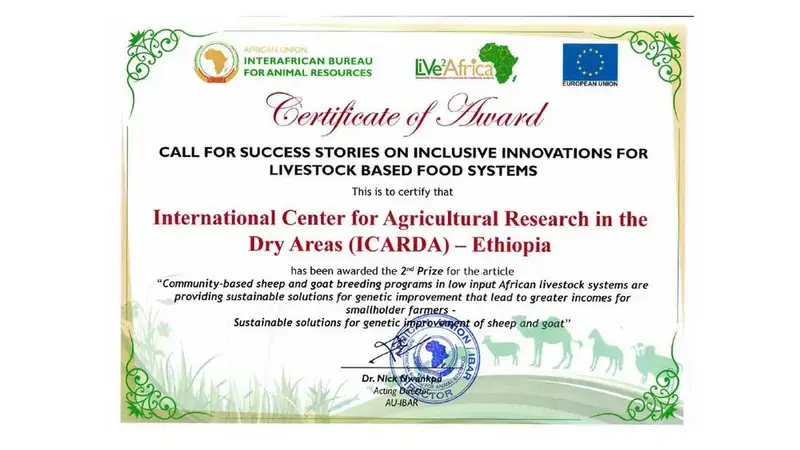 ICARDA’s livestock-based innovation success story gets an award | ICARDA