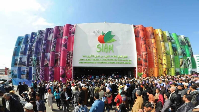 ICARDA | Science for resilient livelihoods in dry areas