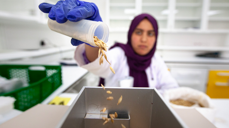 ICARDA | Science for resilient livelihoods in dry areas