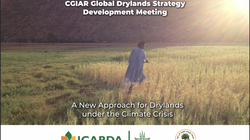 ICARDA Strategy Refresh & CGIAR Global Drylands Strategy Development ...