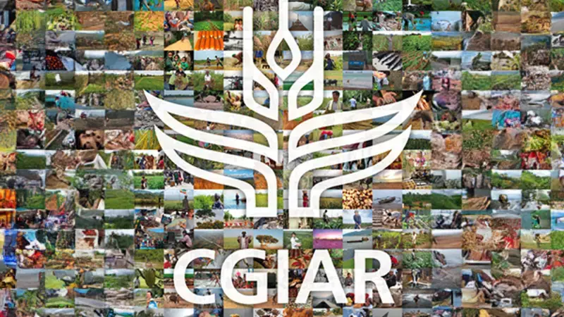 20th Meeting of the CGIAR System Council in Brazil (with side events ...