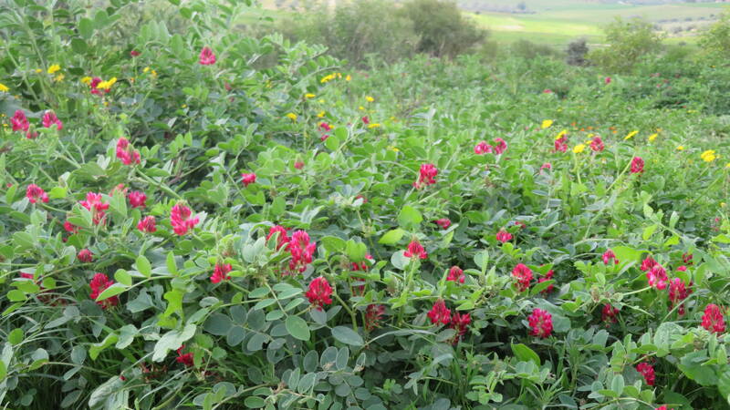 Unveiling the Costs of Inaction and Benefits of Actions to Control Land ...