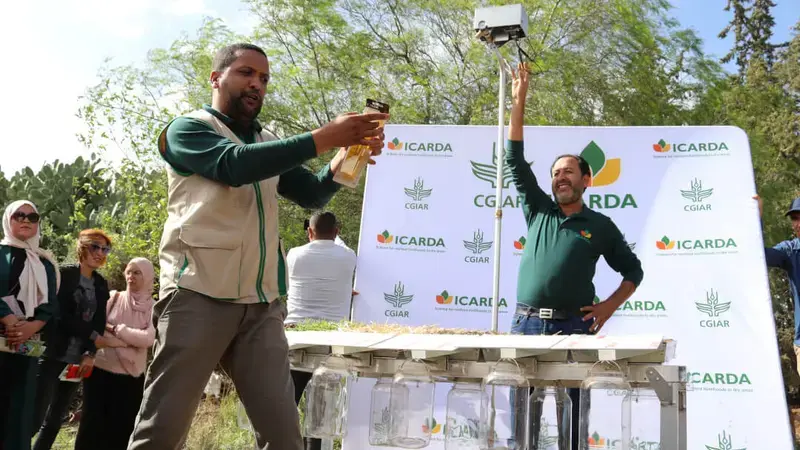 Unleashing Agroecology in Tunisia: Highlights from NATAE's Inspiring ...