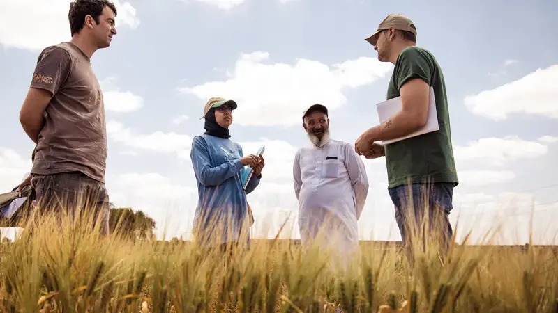 ICARDA | Science for resilient livelihoods in dry areas