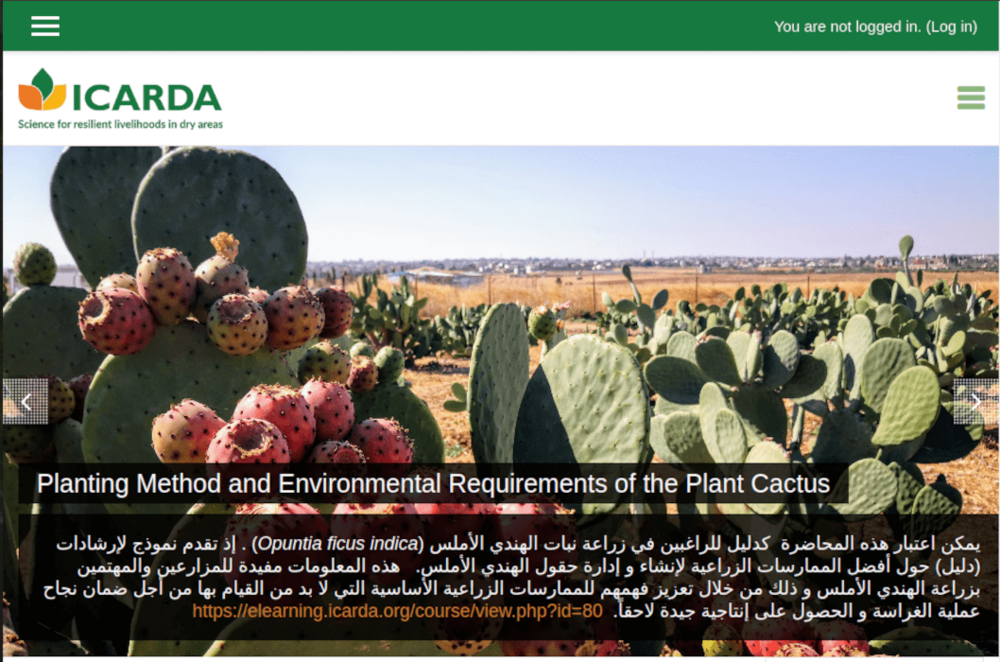 Capacity Development | ICARDA