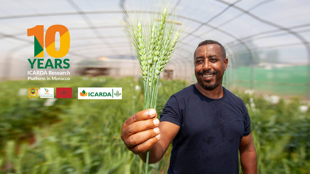 ICARDA | Science for resilient livelihoods in dry areas