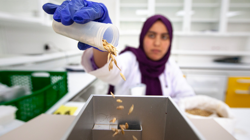 ICARDA | Science for resilient livelihoods in dry areas