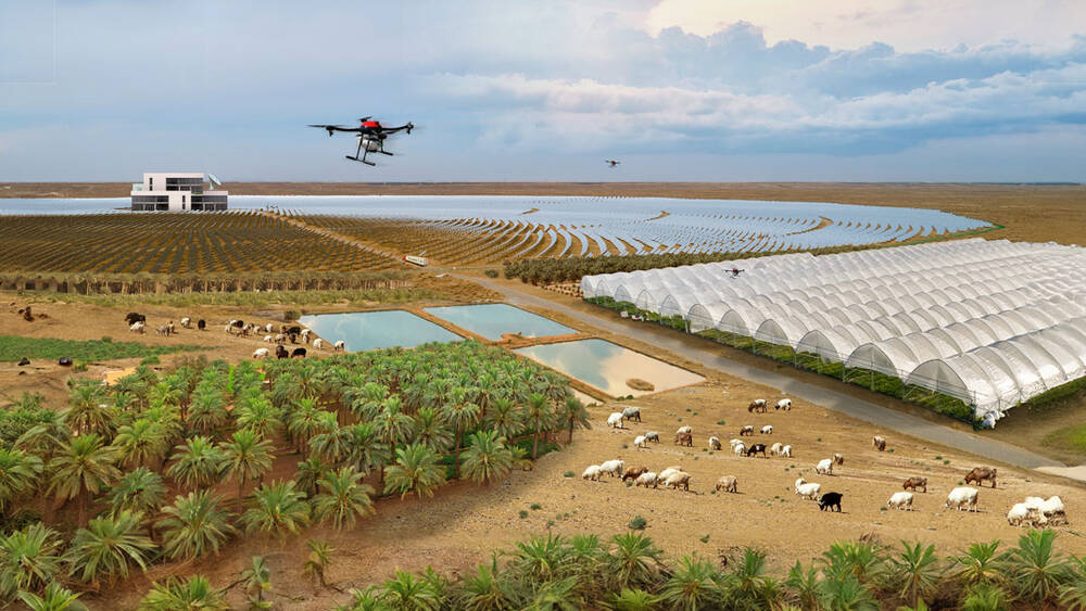 ICARDA | Science for resilient livelihoods in dry areas