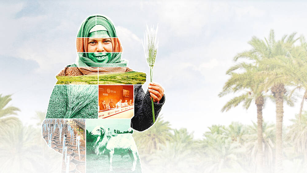 ICARDA | Science for resilient livelihoods in dry areas