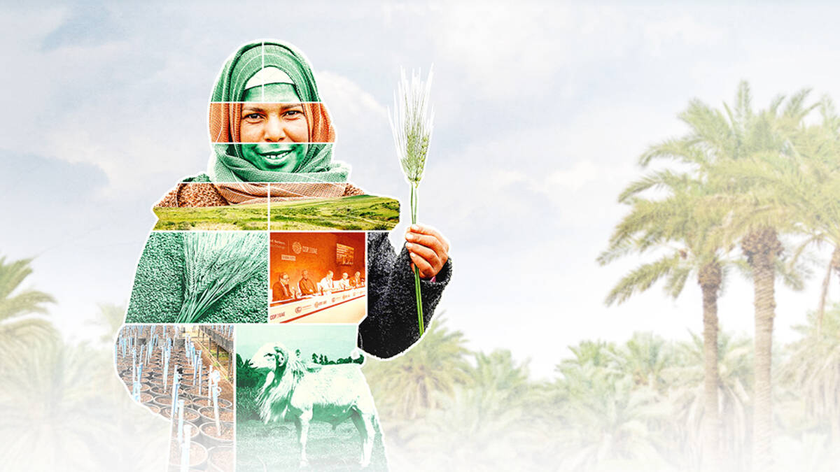 ICARDA | Science for resilient livelihoods in dry areas