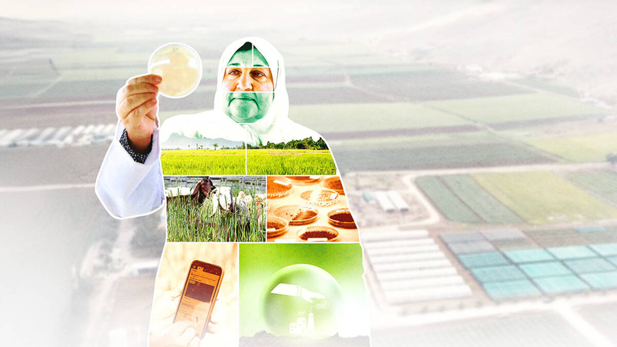 ICARDA | Science for resilient livelihoods in dry areas