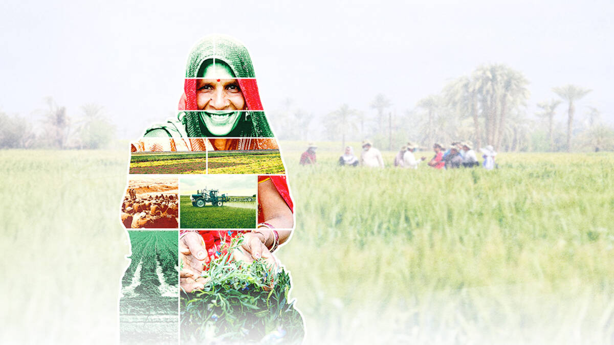 ICARDA | Science for resilient livelihoods in dry areas