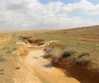 Old knowledge, new techniques – working together to rehabilitate ...