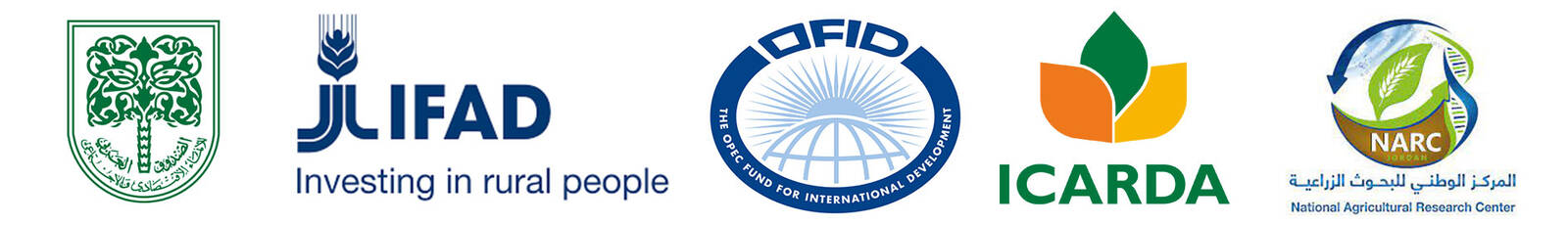 Jameed production innovations improve women's income | ICARDA