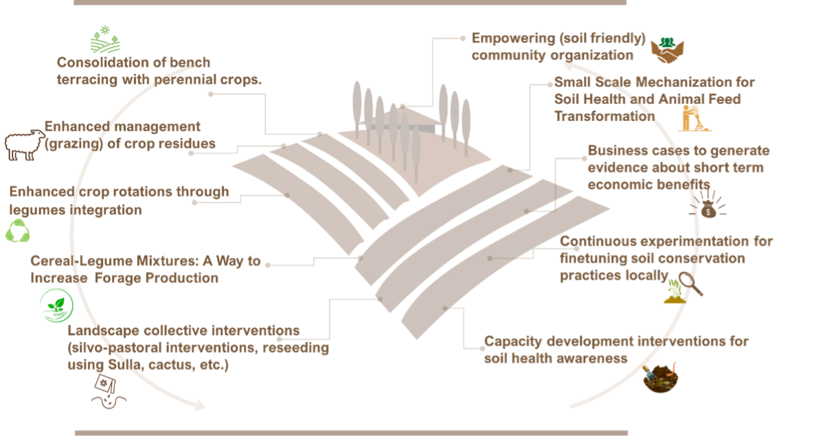 Social Soil | ICARDA