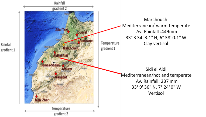 ICARDA's Phenotyping Facilities: A Game-Changing Solution for Abiotic ...
