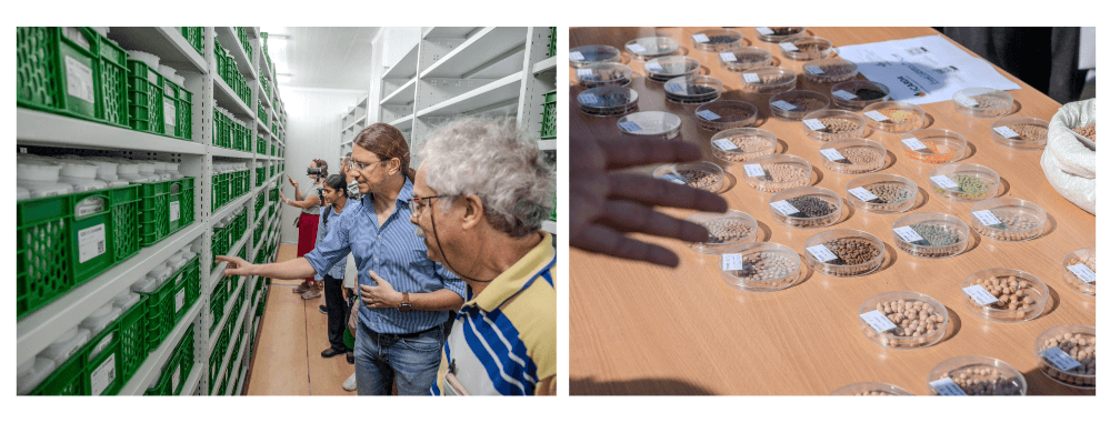 ICARDA hosts the CGIAR System Council and Independent Science for ...