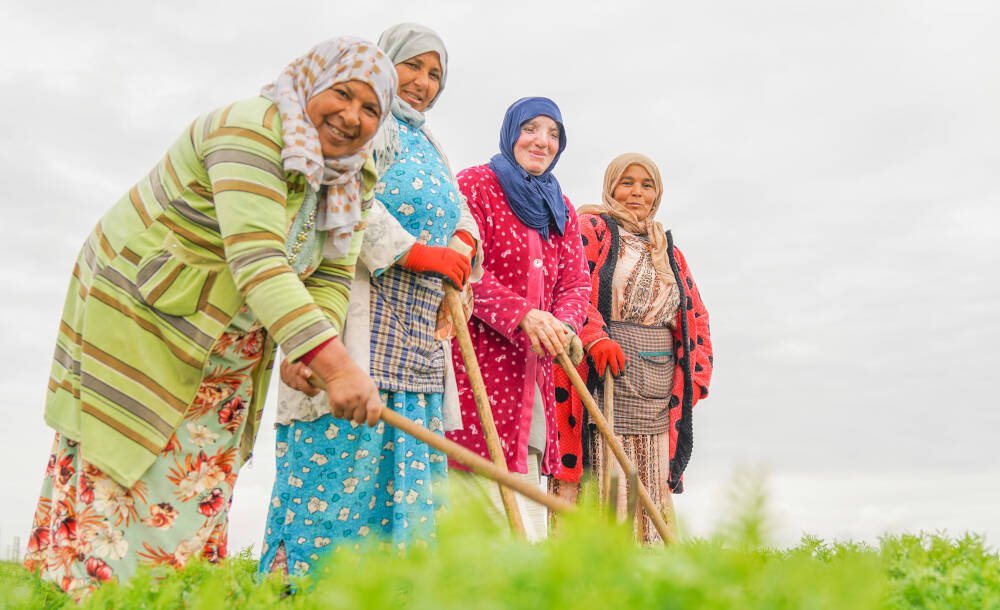 ICARDA’s 2030 Research and Innovation Strategy | ICARDA