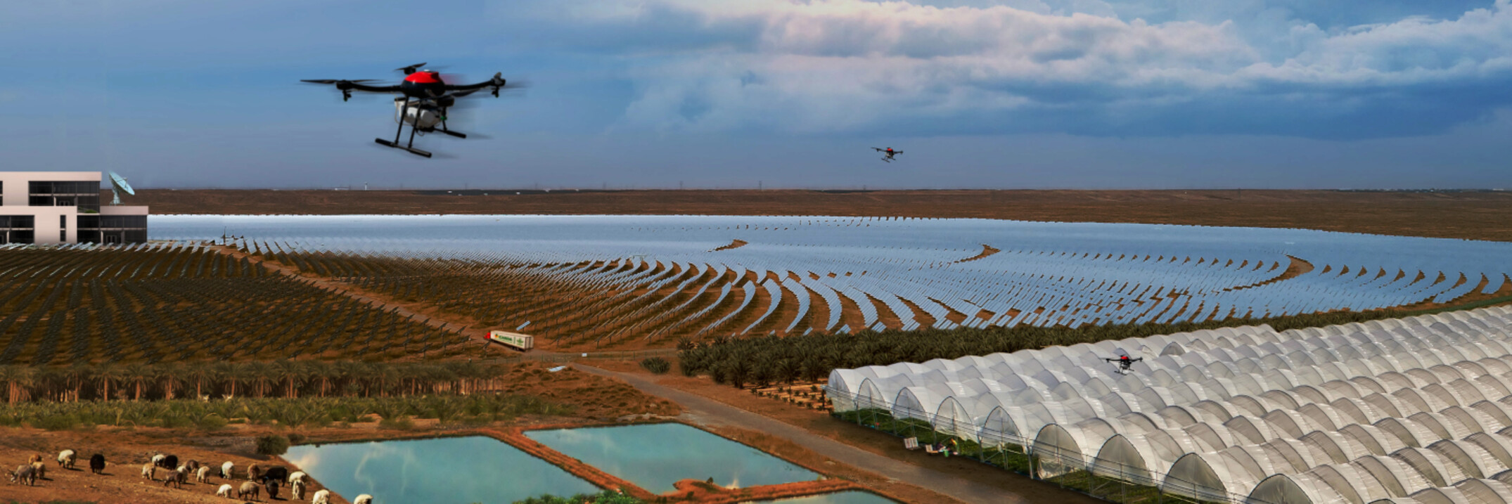 Integrated Desert Farming Innovation Program (IDFIP) | ICARDA