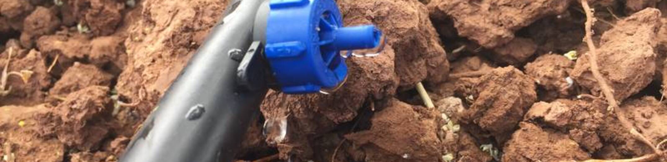 Ultra-Low Energy Drip Irrigation for MENA Countries | ICARDA