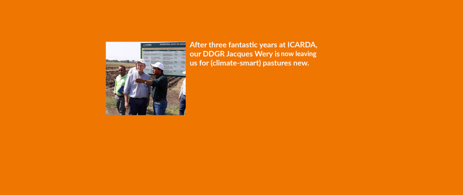 ICARDA | Science for resilient livelihoods in dry areas