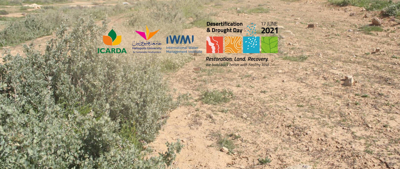 ICARDA | Science for resilient livelihoods in dry areas