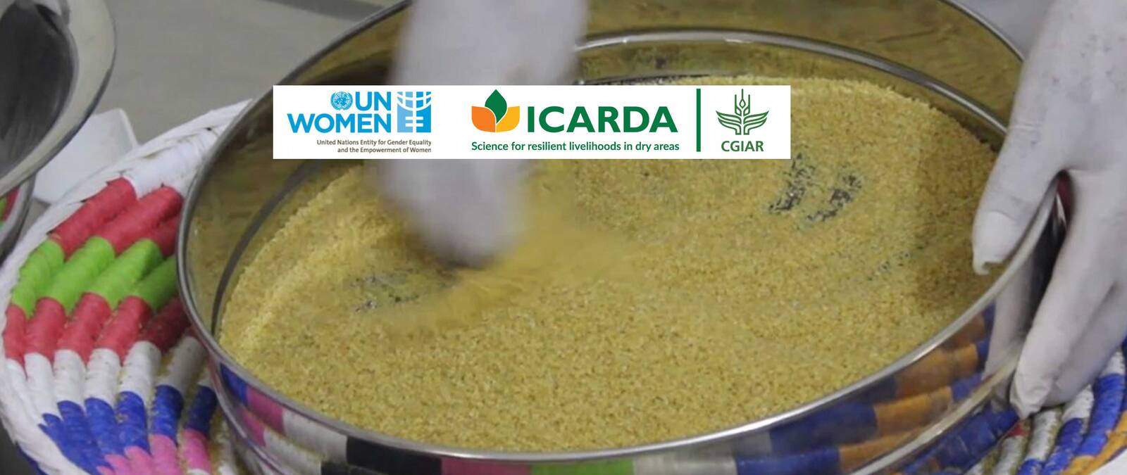 ICARDA | Science for resilient livelihoods in dry areas