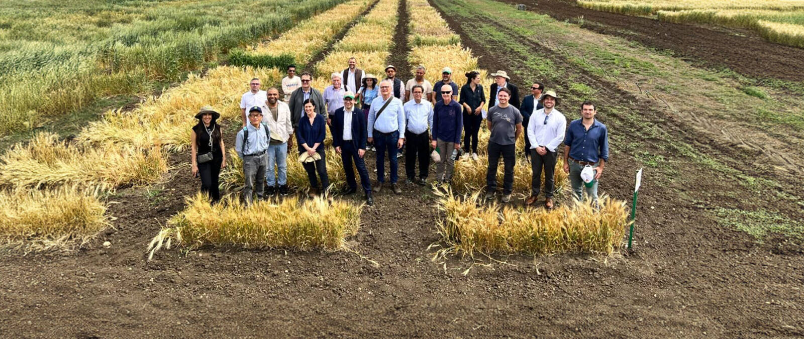 ICARDA | Science for resilient livelihoods in dry areas