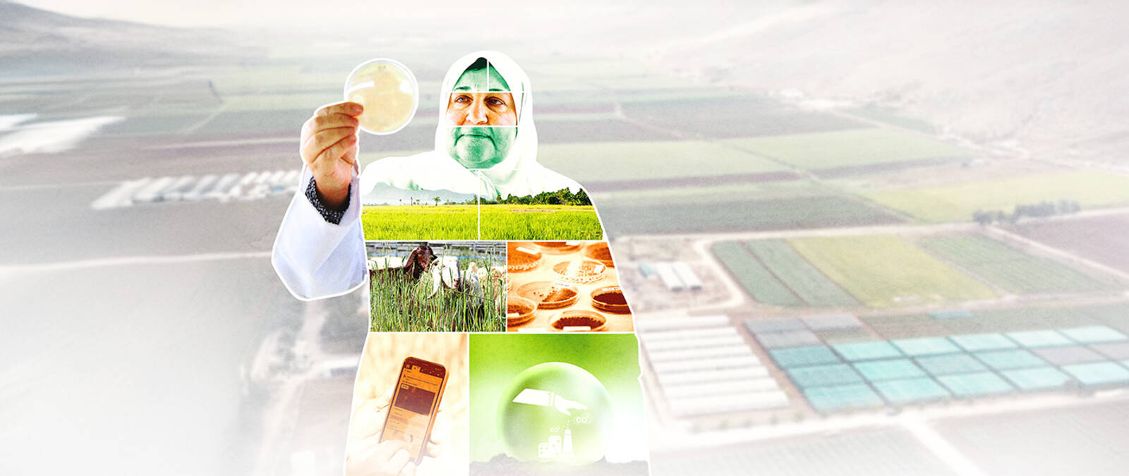 ICARDA | Science for resilient livelihoods in dry areas