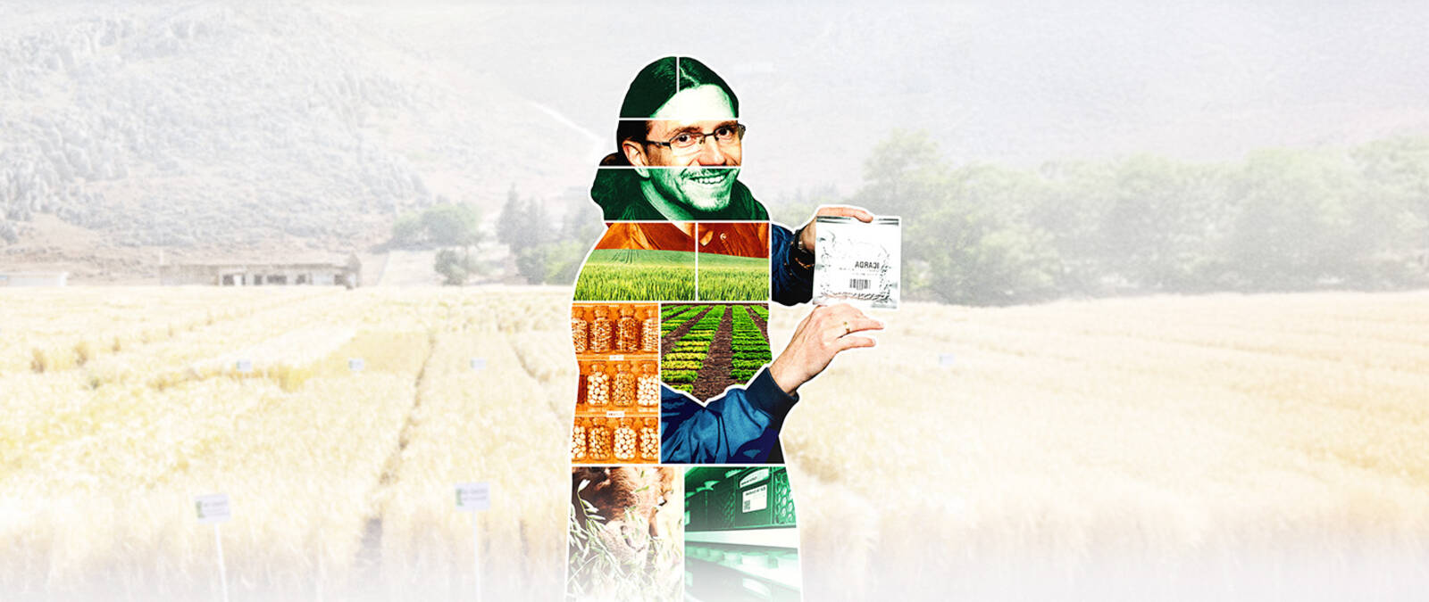 ICARDA | Science for resilient livelihoods in dry areas