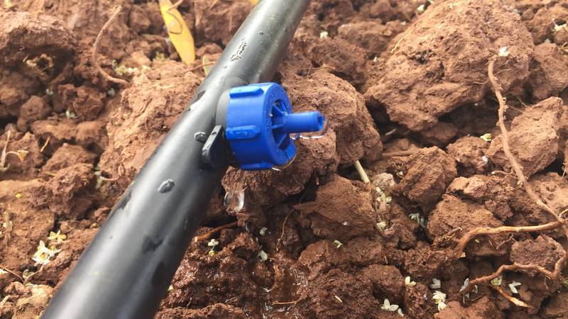 Ultra-Low Energy Drip Irrigation for MENA Countries | ICARDA